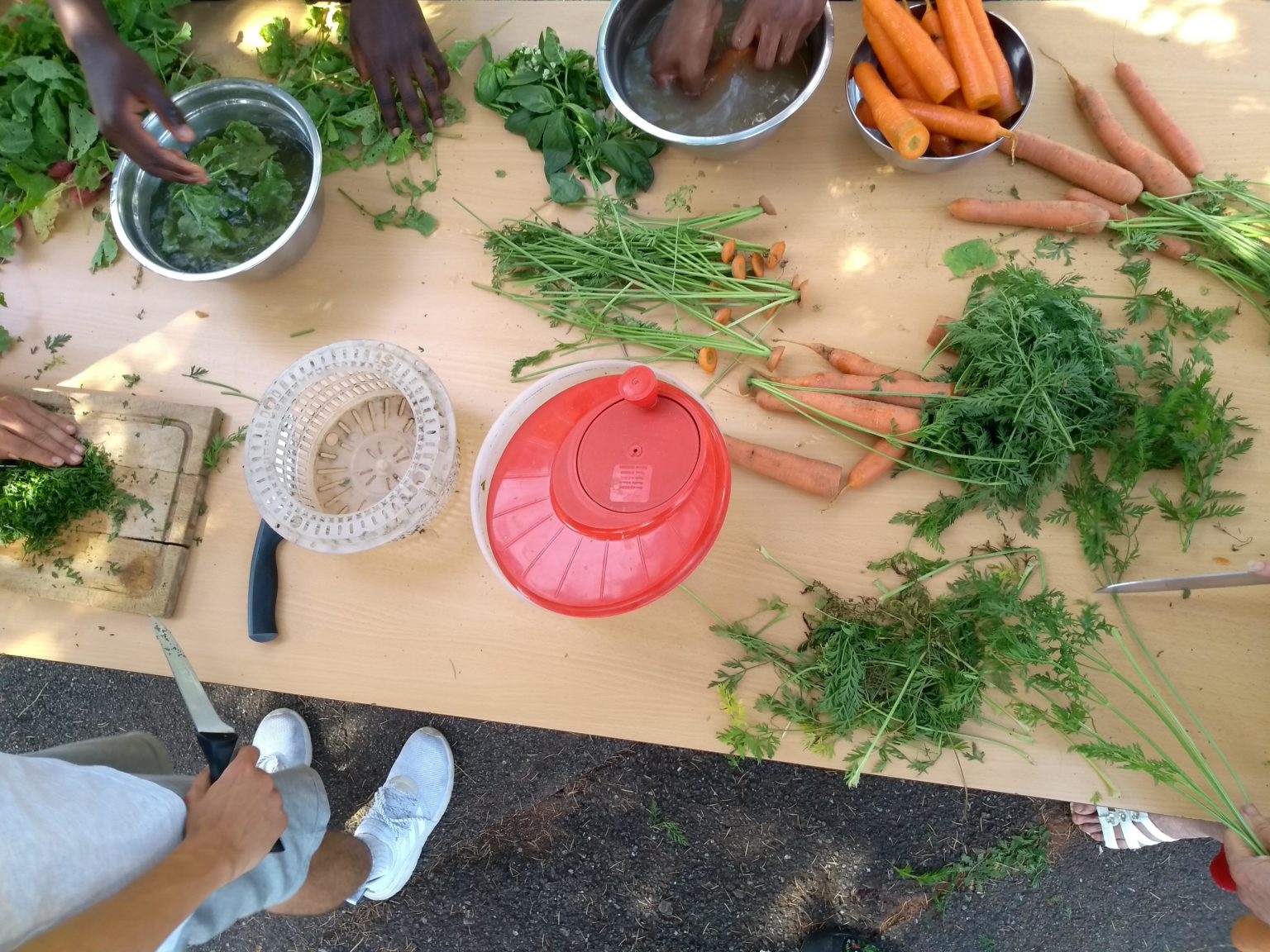 Biodiver’cité ! – LPO Occitanie DT Aveyron